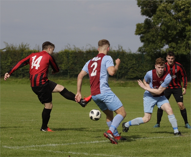 Welcome to Saintfield United Football Club Official Website